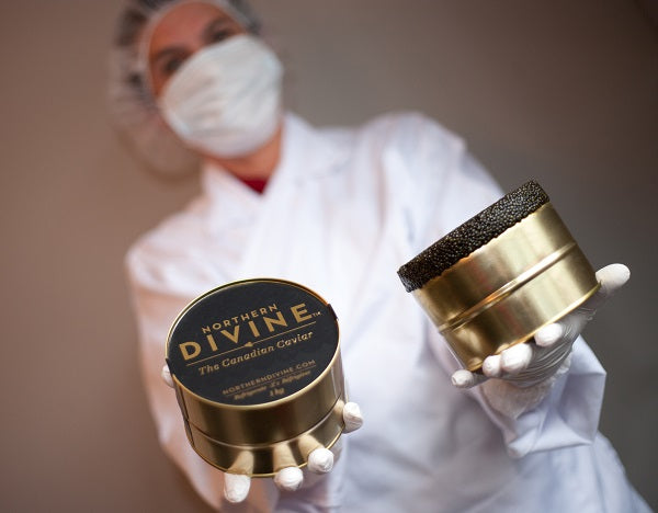 About Us | Sasanian Caviar