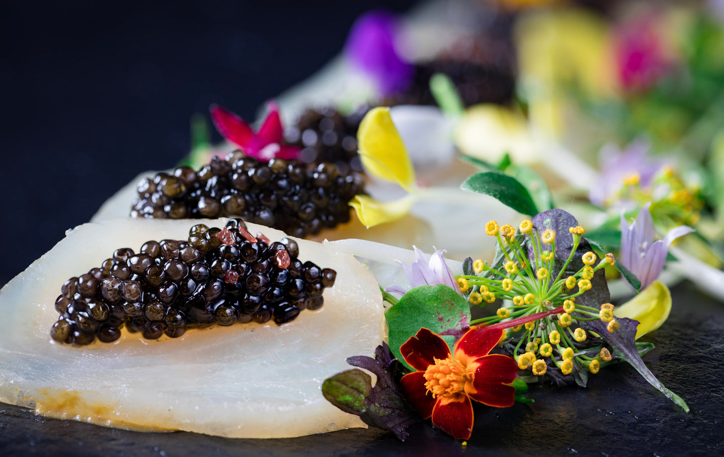 Sasanian Caviar Masters